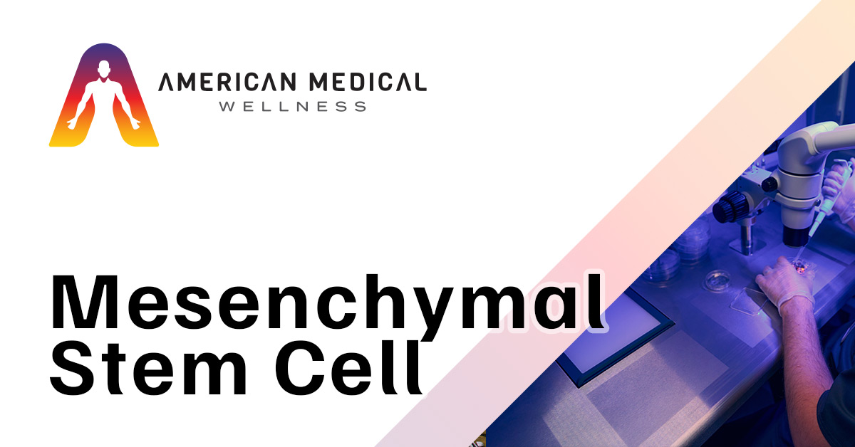 Mesenchymal Stem Cell Therapy | American Medical Wellness